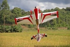Extra 260 V2 ARF – Precision Aerobatics R/C Model Airplanes